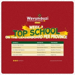 Wavumbuzi Entrepreneurship Challenge for Secondary School Learners in ...