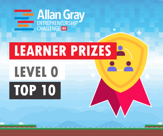 Learner Winners: Level 0 - Wavumbuzi Entrepreneurship Challenge